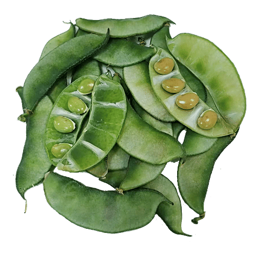 Buy Fresho Beans Avare 250 Gm Online at the Best Price of Rs 22.50 ...