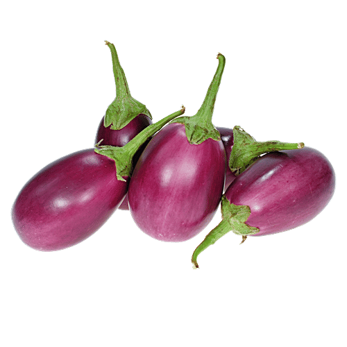 Brinjal Images