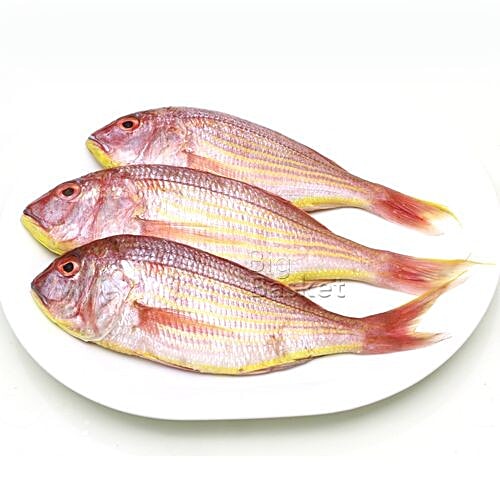 Buy Fresho Pink Perch Fish - Cleaned & Whole 500 gm Tray Online at Best ...