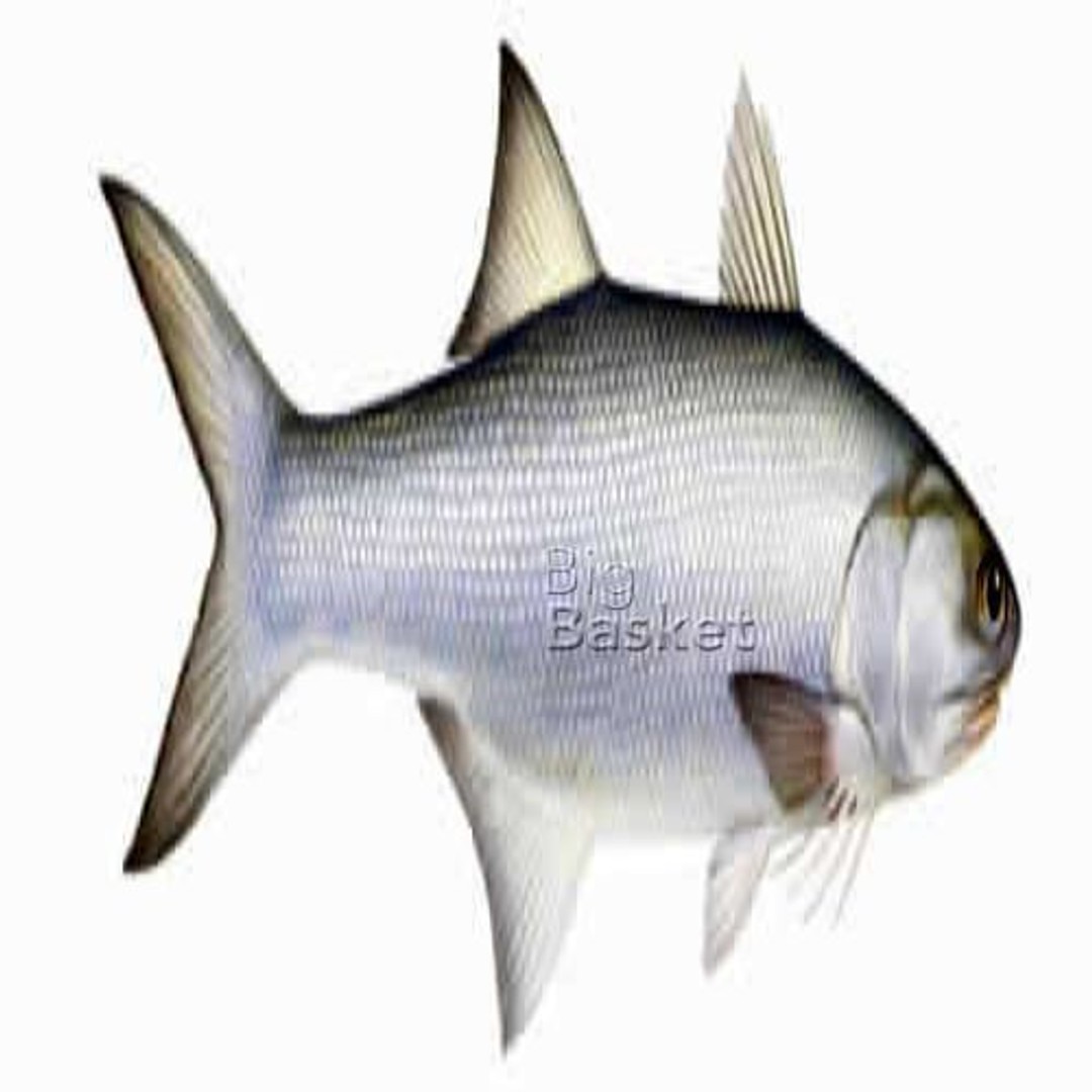 Buy Fresho Indian Salmon Fish (Medium) - Boneless Cubes Online at Best ...