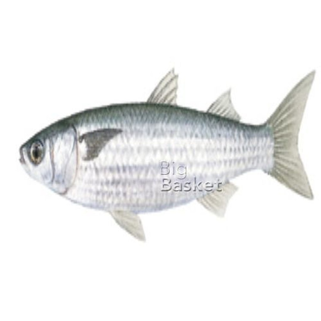 Buy Fresho Mullet Fish (Large) - Cleaned & Whole Online at Best Price ...
