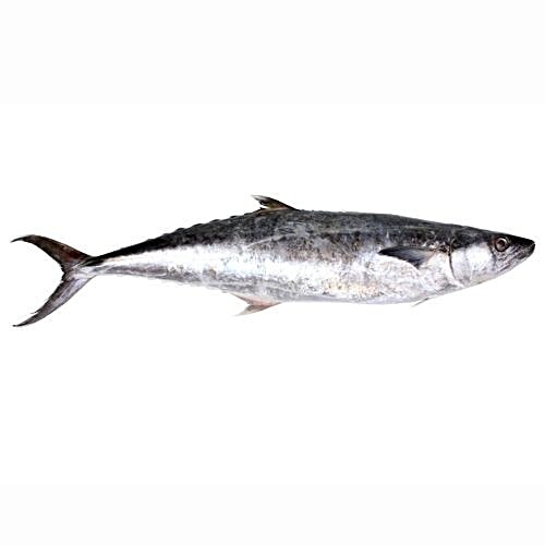 Buy Fresho Seer Fish Small Cleaned Whole 1 Kg Online at the Best Price ...