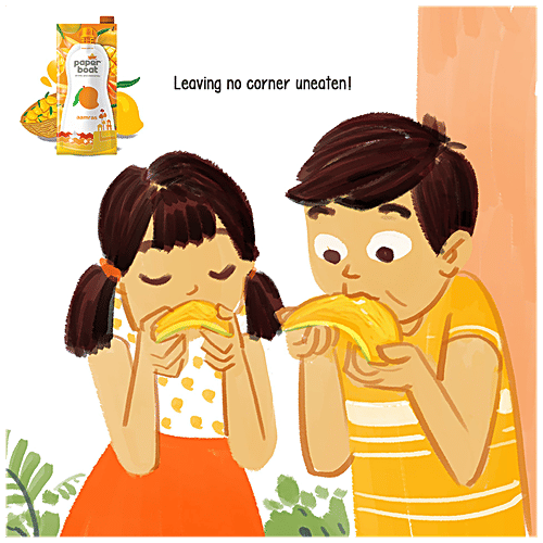 Buy Paper Boat Juice - Mango 2x1 l (Multipack) Online at Best Price. of ...