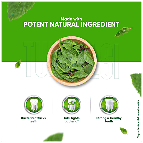 Buy Dabur Herb'l Tulsi Toothpaste Online at Best Price of Rs 224.72 ...