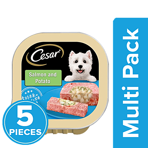 Buy Cesar Premium Premium Adult Wet Dog Food - Salmon & Potato Online ...