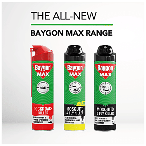 Buy Baygon Max Mosquito & Fly Killer Spray FIK + Max Cockroach Killer ...