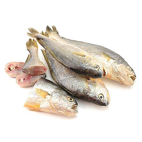 Buy fresho! Croaker Fish (Medium) -Curry Cut/Bengali Cut Online at Best ...