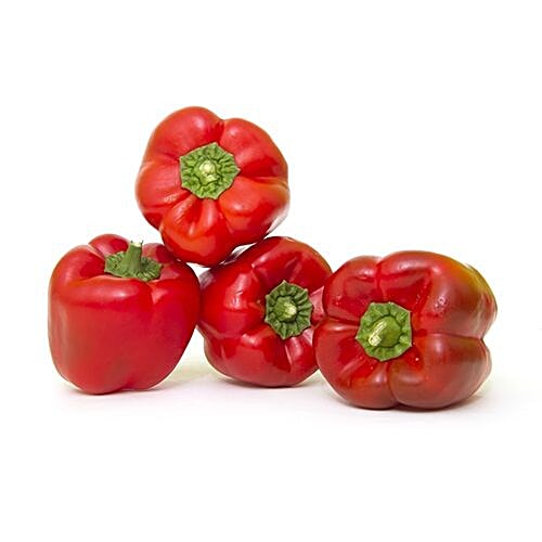 Buy Fresho Capsicum - Red Online at Best Price of Rs 15.04 - bigbasket