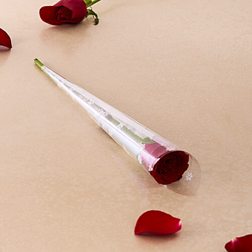 Buy Fresho Rose Red 1 Pc Online at the Best Price of Rs 30.19 - bigbasket