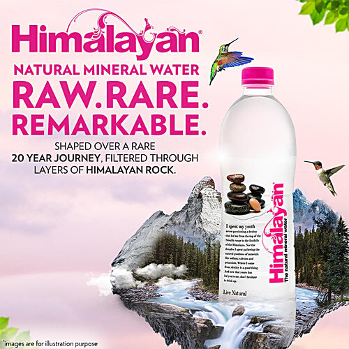 Buy Himalayan Natural Mineral Water 1 ltr Carton ((Pack of 12)) Online ...