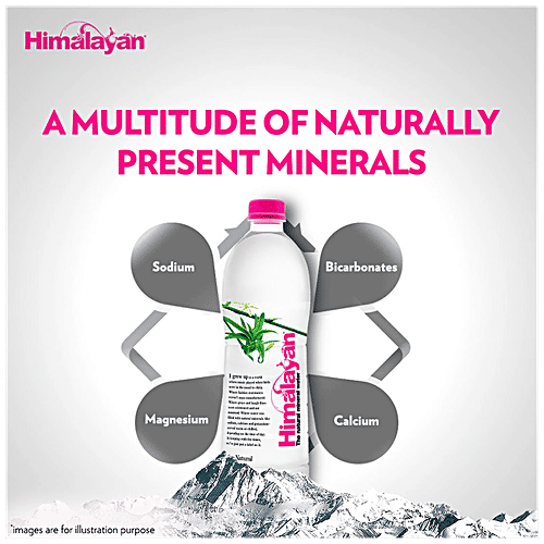 Buy Himalayan Natural Mineral Water 200 Ml Bottle Online at the Best ...