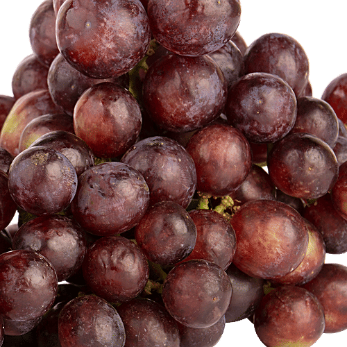 Buy Fresho Grapes Red Globe Imported 250 Gm Online At Best Price of Rs ...