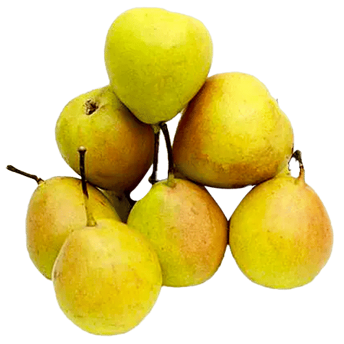 Buy Fresho Pear Naspathi Indian 1 Kg Online at the Best Price of Rs 59 ...