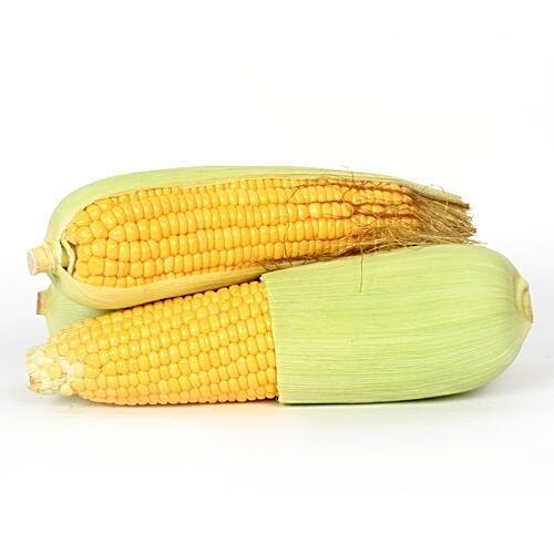 Buy Organic Sweet Corn Online at Best Price of Rs 21 - bigbasket