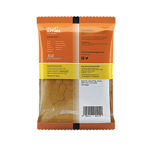 Buy Pro Nature Organic Powder Sambhar 100 Gm Pouch Online At Best Price ...