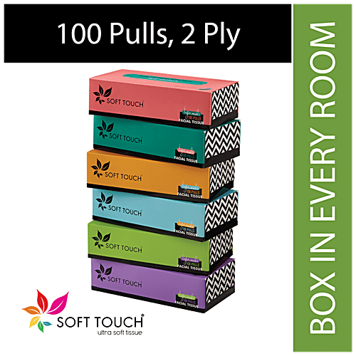 Buy Soft Touch Facial Tissue 100 Pulls 200 Pcs Online At Best Price of ...