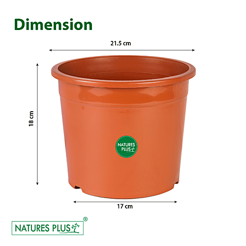 Buy Kr Nursery Pot Brown Pack Of 3 Open Dia 195 Cm Bottom Dia 168 Cm ...