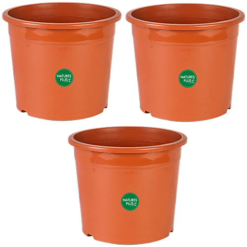 Buy Kr Nursery Pot Brown Pack Of 3 Open Dia 195 Cm Bottom Dia 168 Cm ...