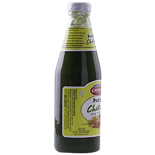 Buy Mrs Bector'S Cremica Pudina Chataka - Spicy Mint Sauce 460 gm ...