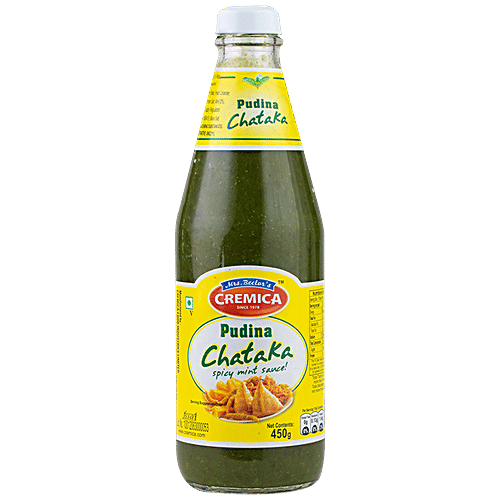 Buy Mrs Bector'S Cremica Pudina Chataka - Spicy Mint Sauce 460 gm ...