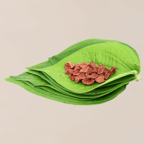 Buy Fresho Leaf Betel With Arracknut Pan Supari 10 Gm Online at the ...