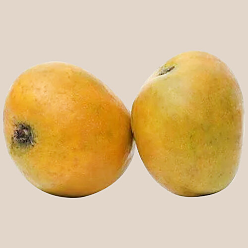 Buy Fresho Mango Raspuri Organically Grown 1 Kg Online At Best Price of ...