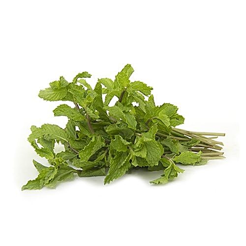 Buy Fresho Mint - Organically Grown Online at Best Price of Rs 62.50 ...