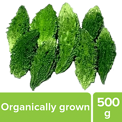 Buy Fresho Bitter Gourd Small - Organically Grown Online at Best Price ...