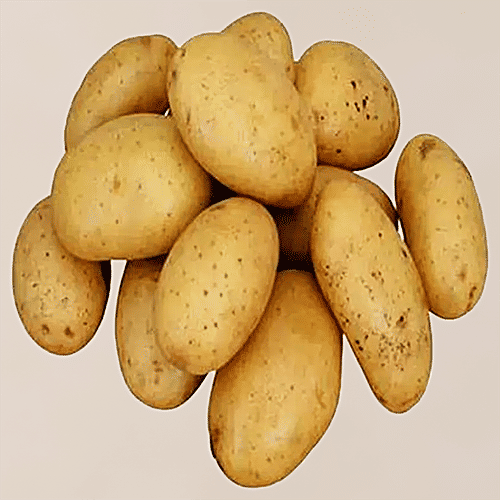 Buy Fresho Potato Jyoti 1 Kg Online at the Best Price of Rs 41.64 ...