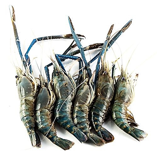 Buy Fresho Galda Processed Small 500 Gm Online at the Best Price of Rs ...