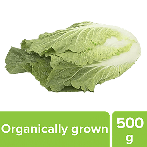 Buy fresho! Chinese Cabbage - Organically Grown Online at Best Price of ...