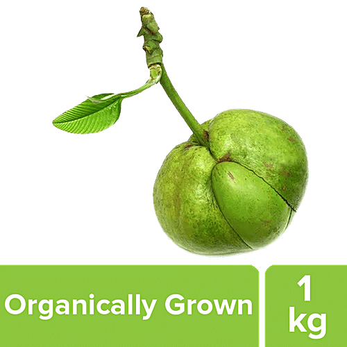 Buy fresho! Elephant Apple (Chalta) - Organically Grown Online at Best ...