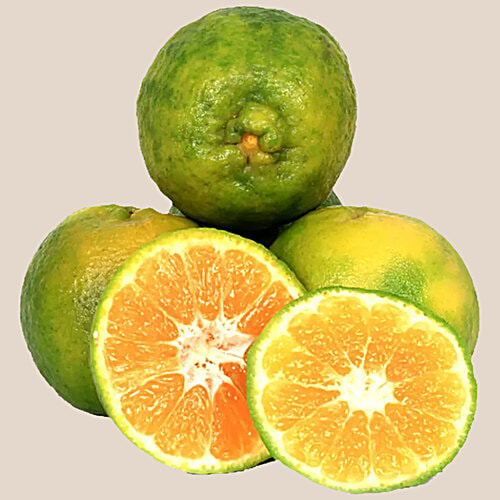 Buy fresho! Orange - Organically Grown Online at Best Price of Rs 82.25 ...