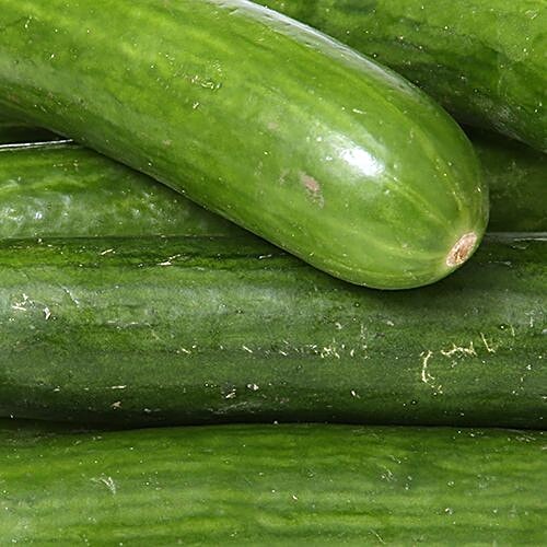 Buy Fresho English Cucumber Organically Grown 1 Kg Online at the Best ...
