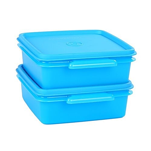 Buy Signoraware Easy To Carry Small - Blue 704S2 Online at Best Price ...