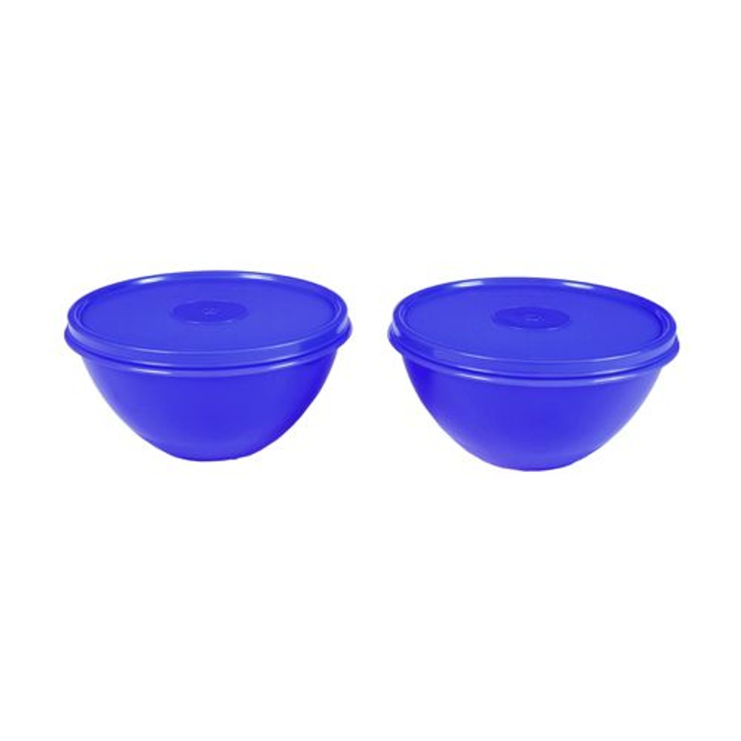 Buy Signoraware Wonder Bowl No. 2 Container - Deep Violet 811S2 Online ...