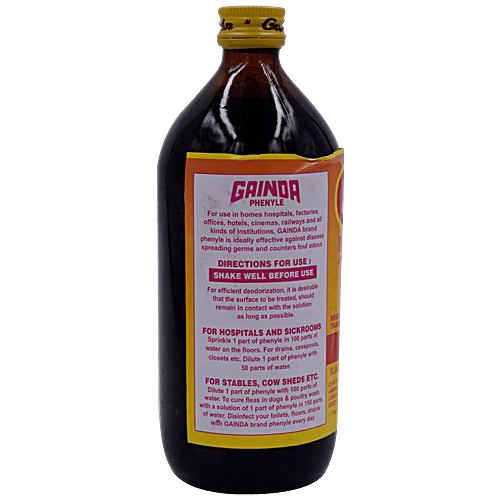 Buy Gainda Phenyle 450 Ml Online at the Best Price of Rs 60 - bigbasket