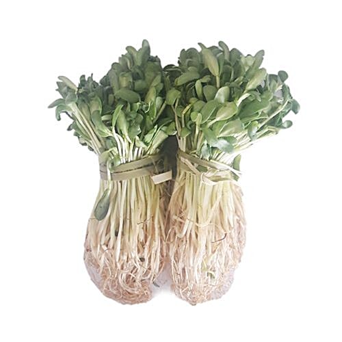 Buy fresho! Methi Small/Nani Mathi Online at Best Price of Rs 48.93 ...