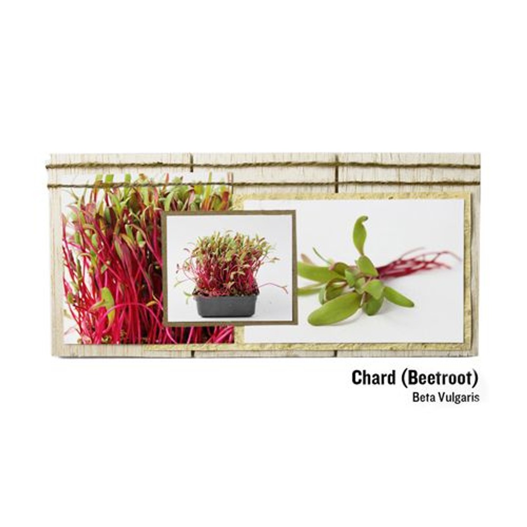 Buy Simply Fresh Beetroot - Chard (Beta Vulgaris) Online at Best Price ...