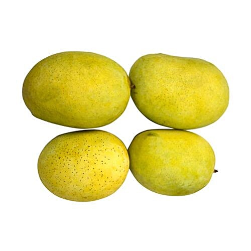 Buy fresho! Mango - Dudhiya Malda Online at Best Price of Rs null ...