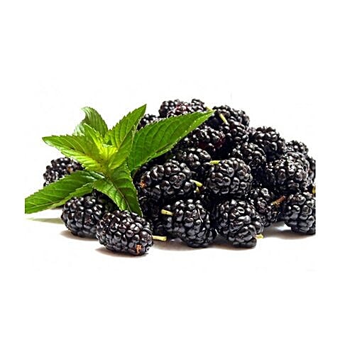 Buy Fresho Blackberry Imported 125 Gm Online At Best Price of Rs 788.11 ...