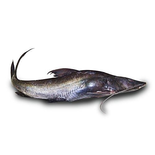 Buy fresho! Kolkata/Bengali Aar Ayre Fish - Small, Curry Cut Online at ...