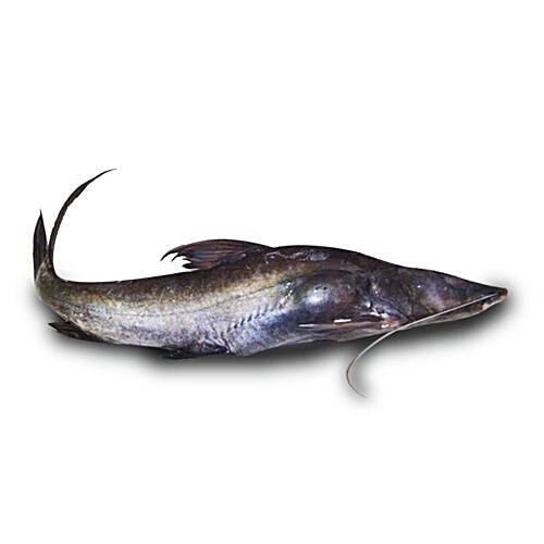 Buy fresho! Kolkata/Bengali Aar Ayre Fish - Small, Curry Cut Online at ...