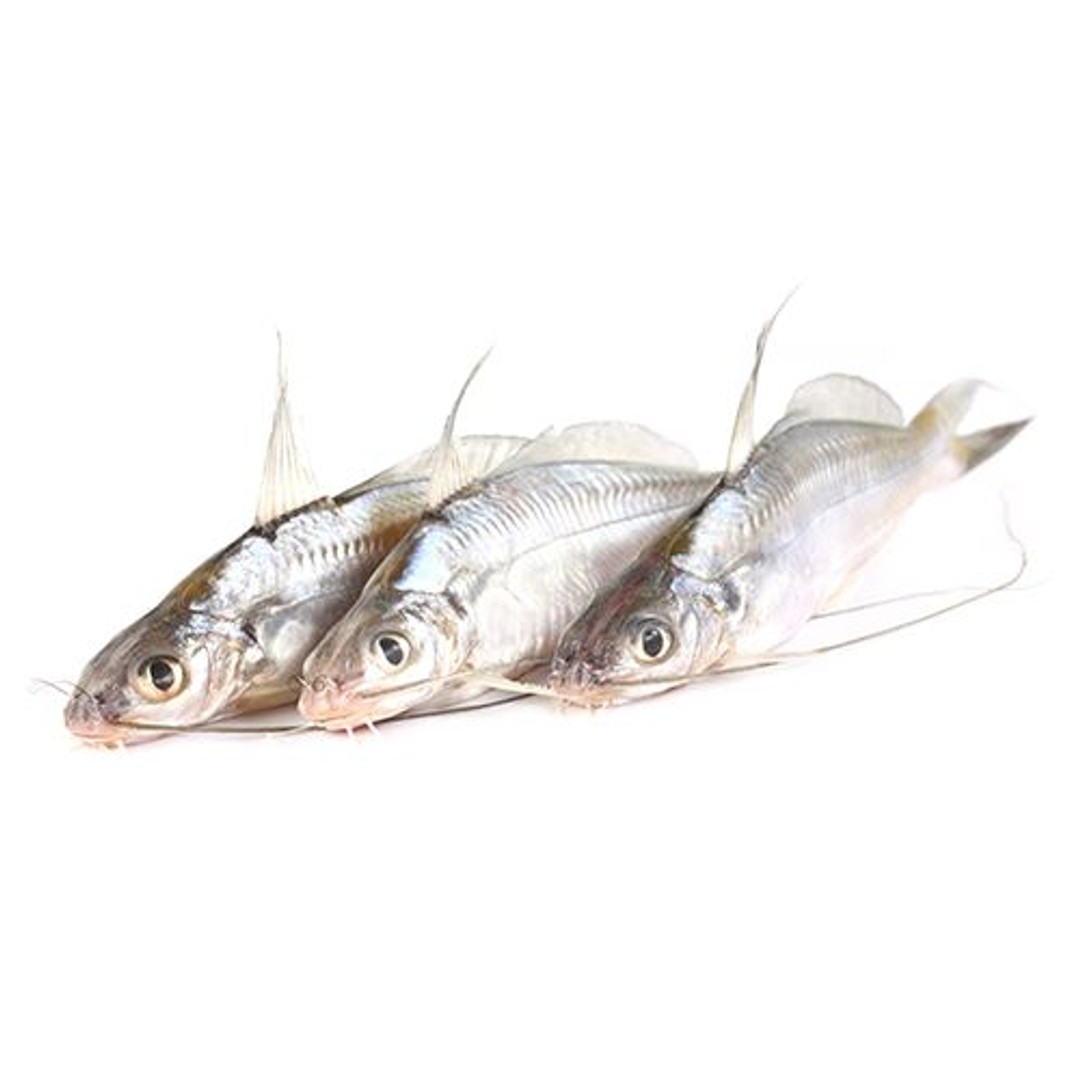Buy Fresho Tangra Sea Fish Online at Best Price of Rs 1104 - bigbasket