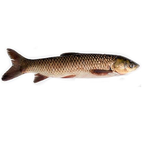 Buy fresho! Fish - Grass Carp Online at Best Price of Rs 250 - bigbasket