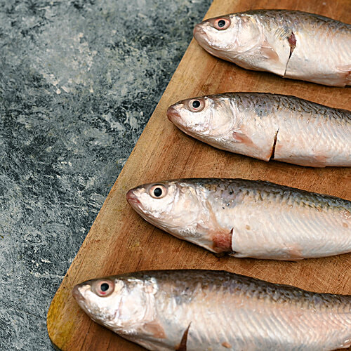 Buy Fresho Fish - Bata 500 gm Online at Best Price. of Rs 169 - bigbasket