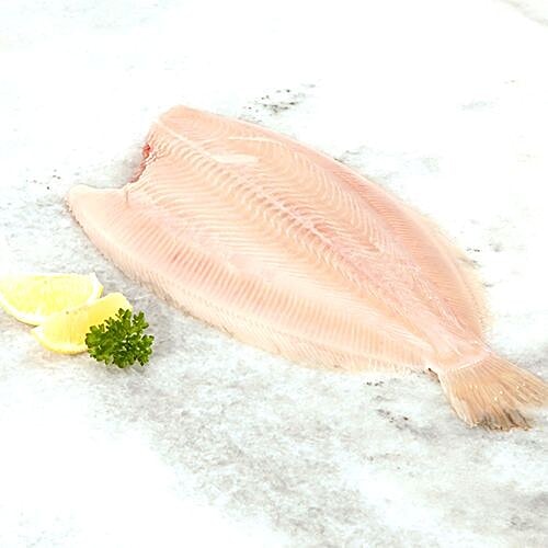 Buy Fresho Horeca Bombay Bhetki Fillet (Telia) - Without Skin & Collar ...