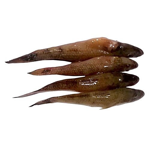 Buy fresho! Kolkata/Bengali Bele Fish - Whole Cleaned Online at Best ...