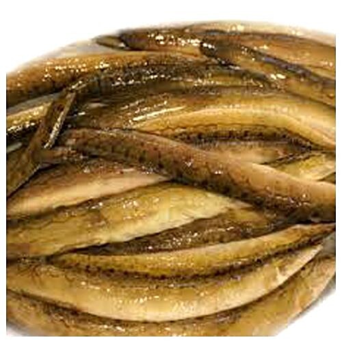 Buy fresho! Kolkata/Bengali Pakal Fish - Whole Cleaned Online at Best ...