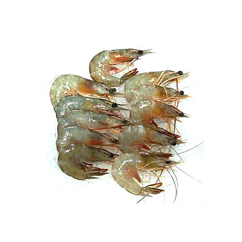 Buy Fresho White Prawn - Jhinga Small, Horeca 2 kg Online at Best Price ...
